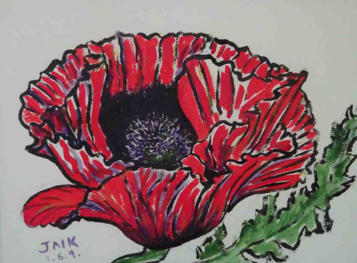 When will the Poppy Flowers Pop? - An Artful Gardener